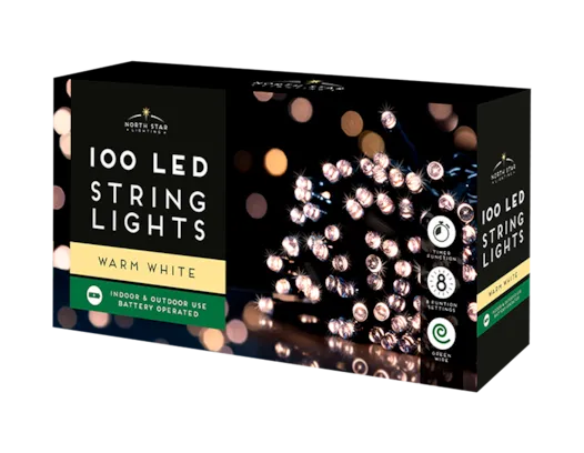 100 LED Battery Operated Timer Lights – Sprinkle of Magic